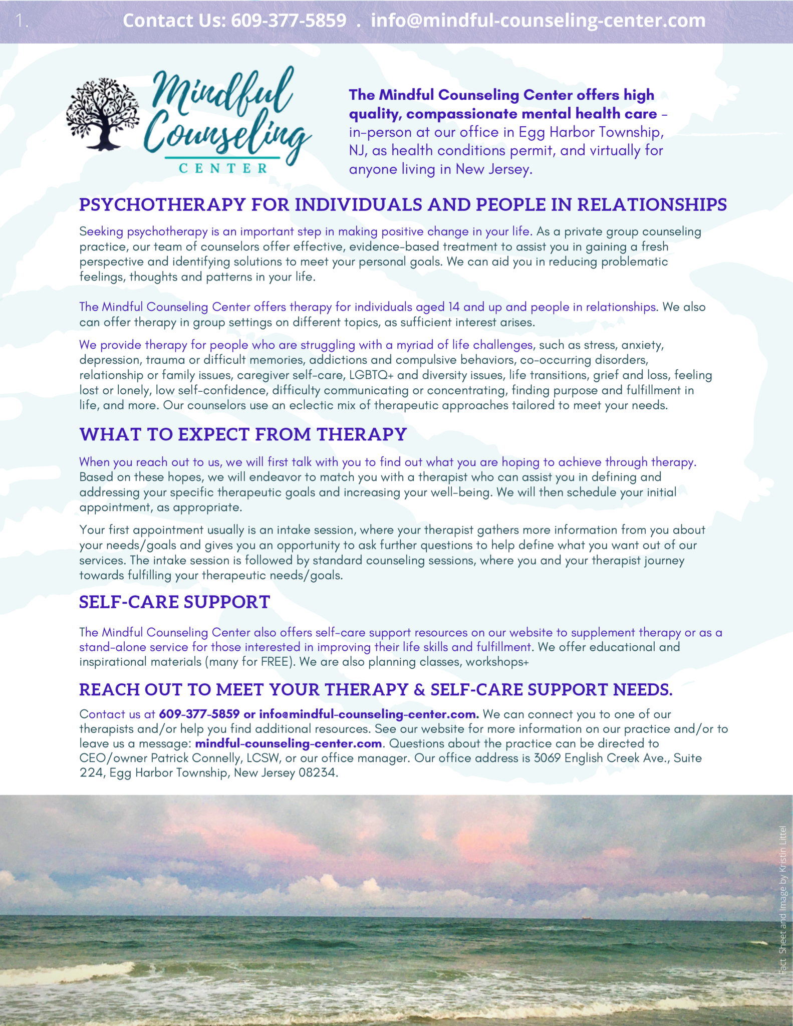 Practice Fact Sheet - Mindful Counseling Center LLC